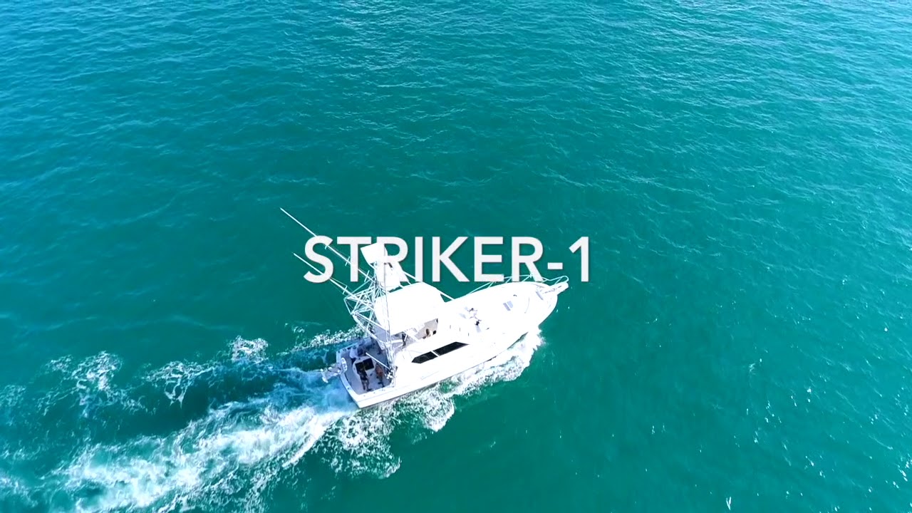 SHADES OF BLUE | A day out with Mark the shark fishing charters. Drone ...