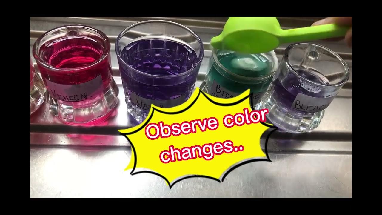 Acid Base Neutralisation-Red Cabbage Juice indicator experiment - YouTube