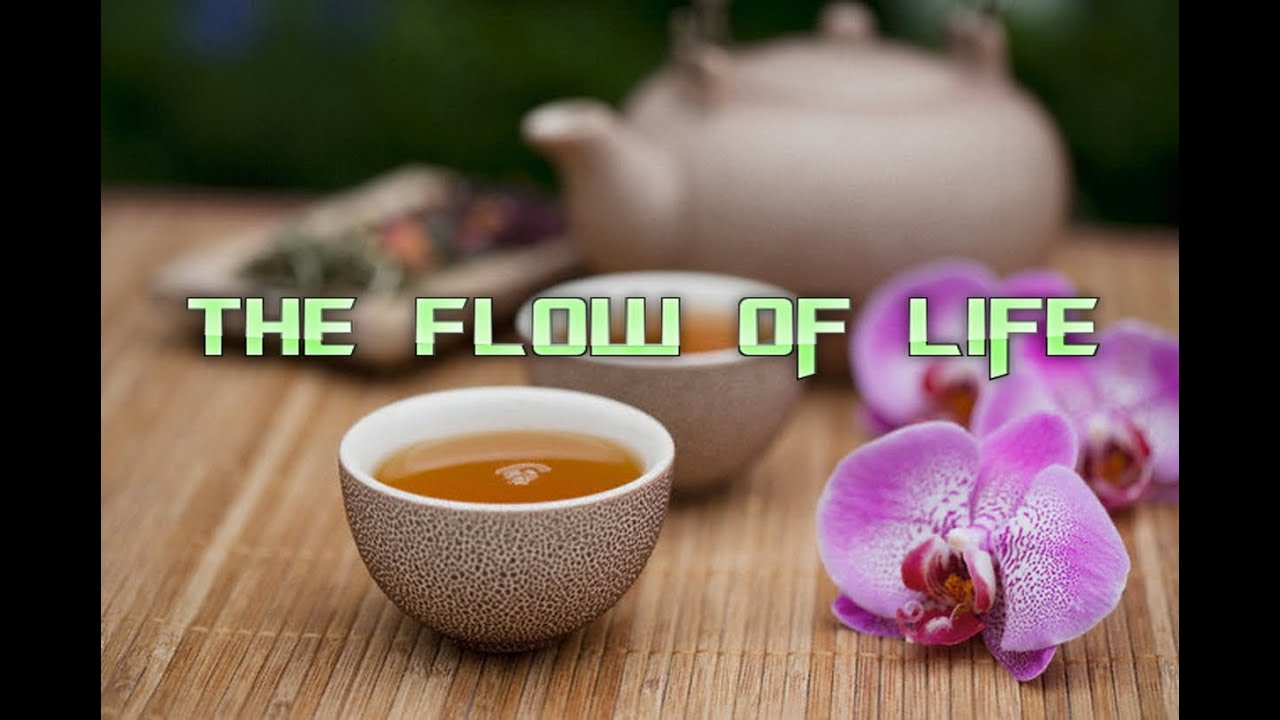 The Flow Of Life - YouTube