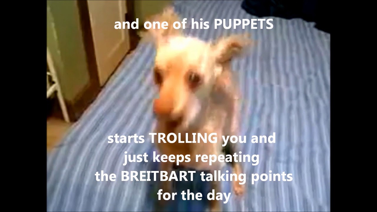 Breitbart Dog - YouTube