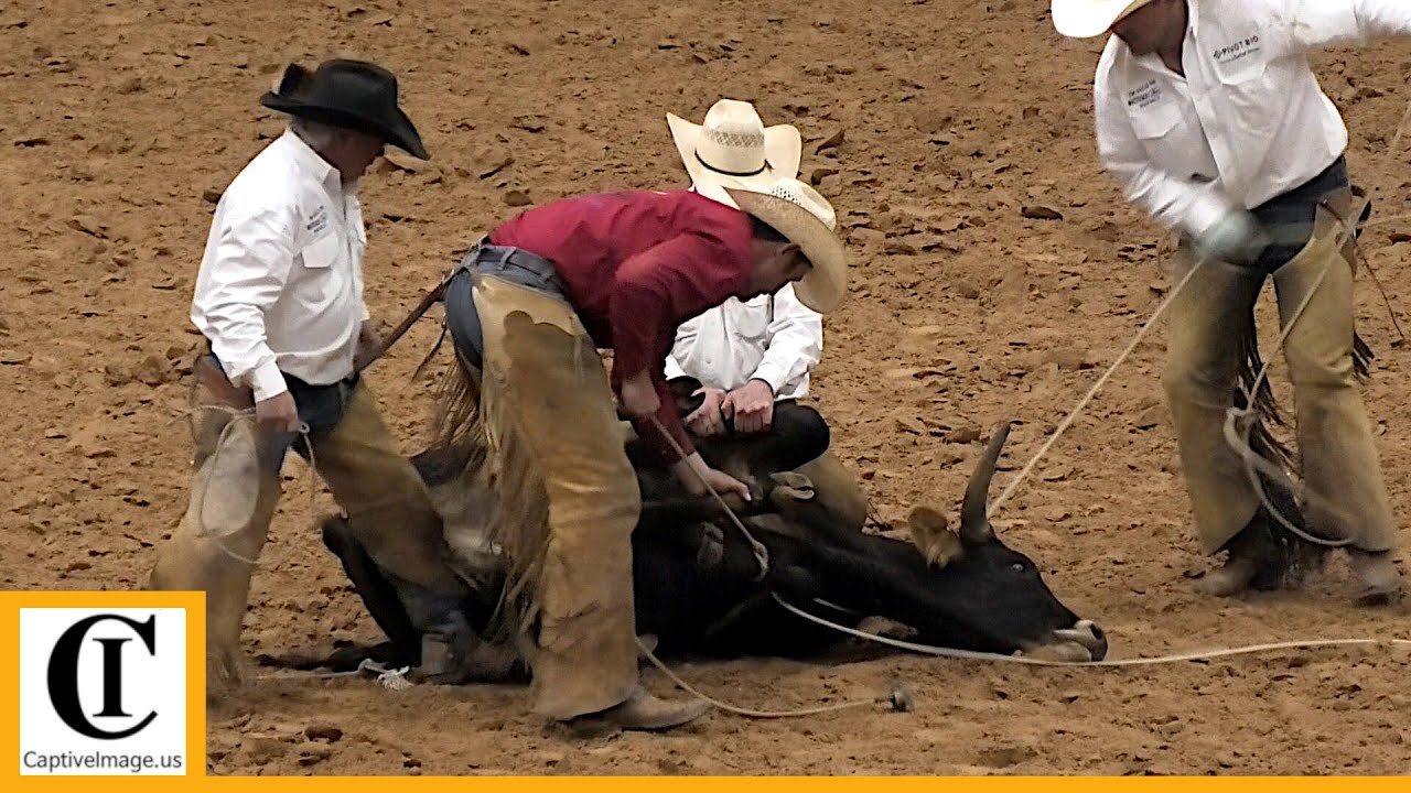 Stray Gathering - 2023 Coors Cowboy Club Ranch Rodeo | Saturday - YouTube