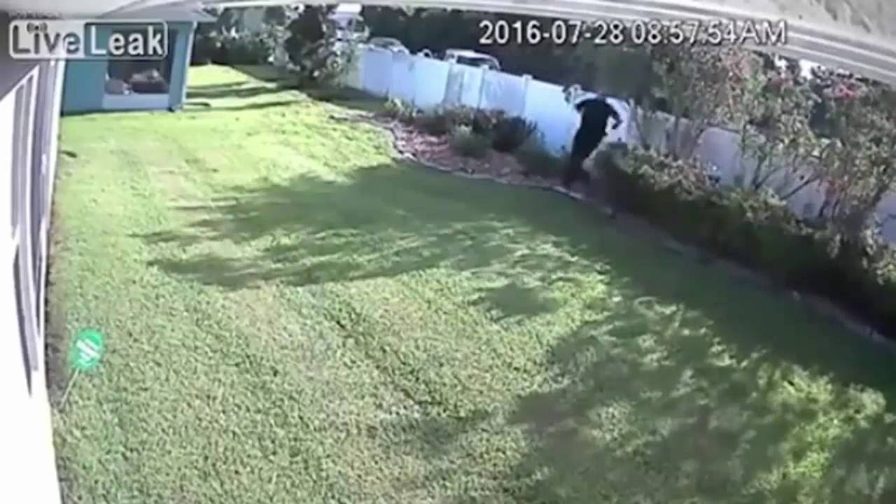 Funny moment police officer runs through FENCE to catch criminals - YouTube