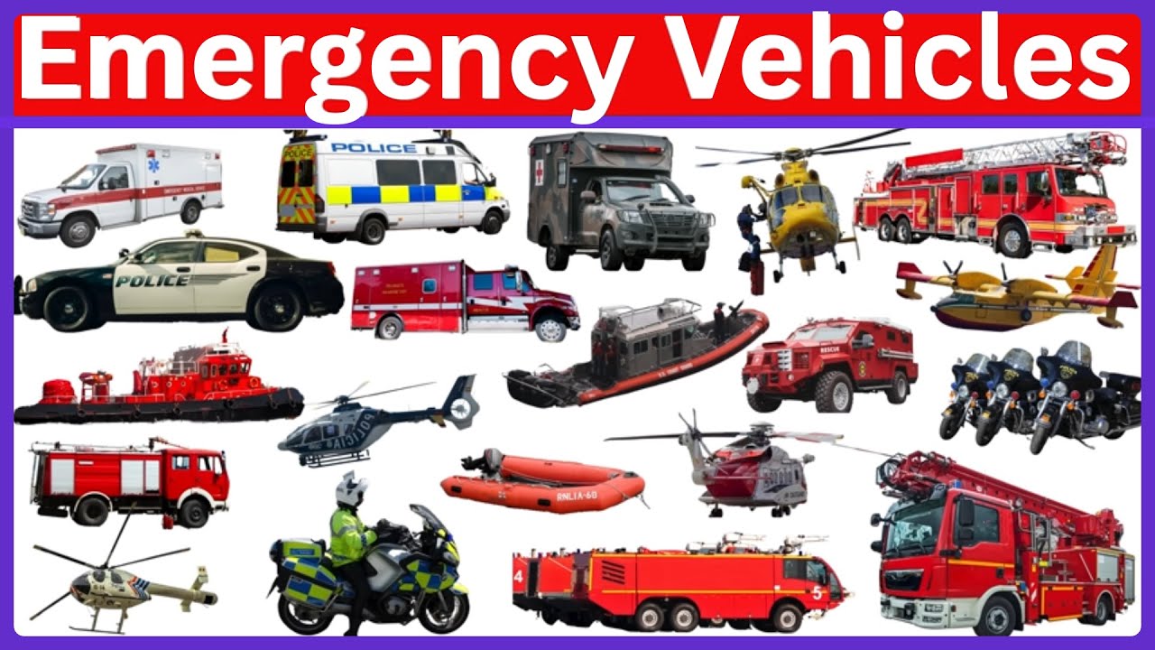 Emergency Vehicles | Learn Names of Emergency Vehicles For Kids ...