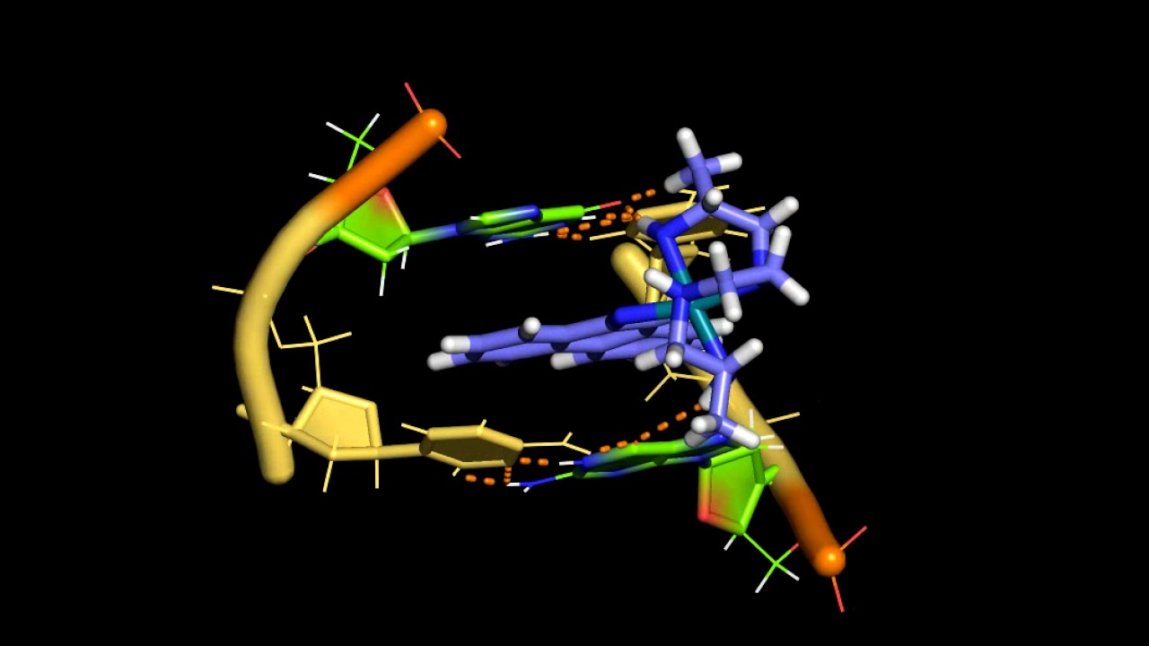 Rhodium complex binding to DNA in the major groove - YouTube