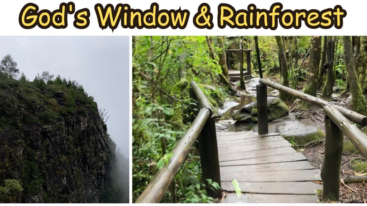 God’s Window | RainForest | Mpumalanga | South Africa | Panoramic Scene ...