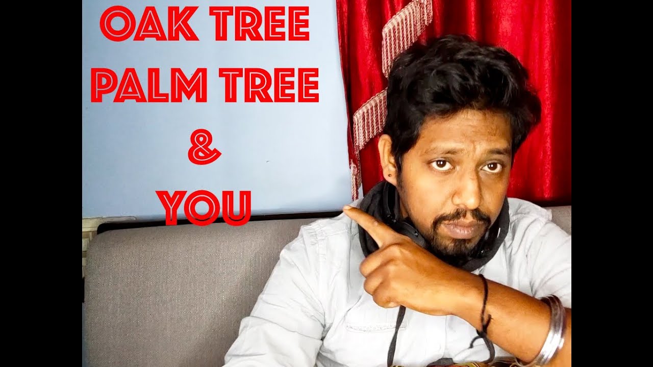 Oak Tree and Palm Tree | Story with Harish Bhuvan - YouTube