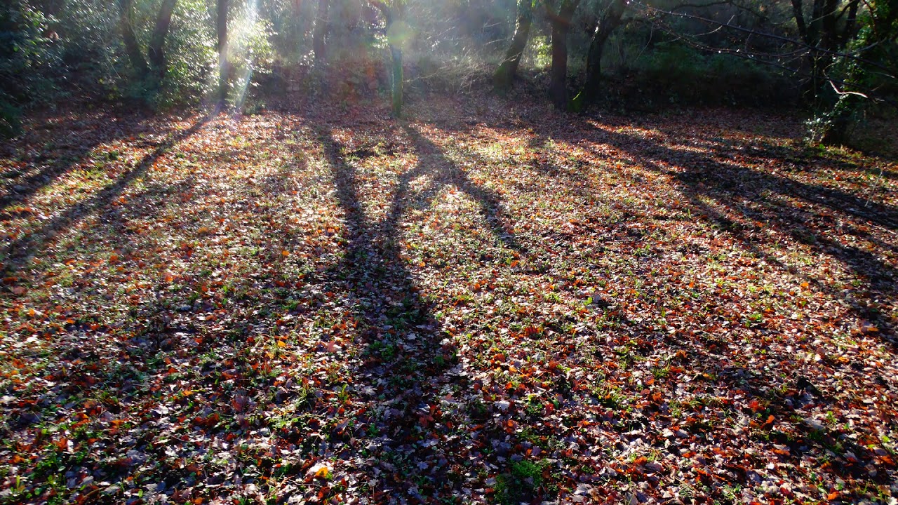Shadows moving on the ground (Timelapse) - YouTube