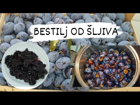 BESTILJ OD ŠLJIVA bez šećera 👌stari recept 👌 Šljive za zimu (1 od 4 ...