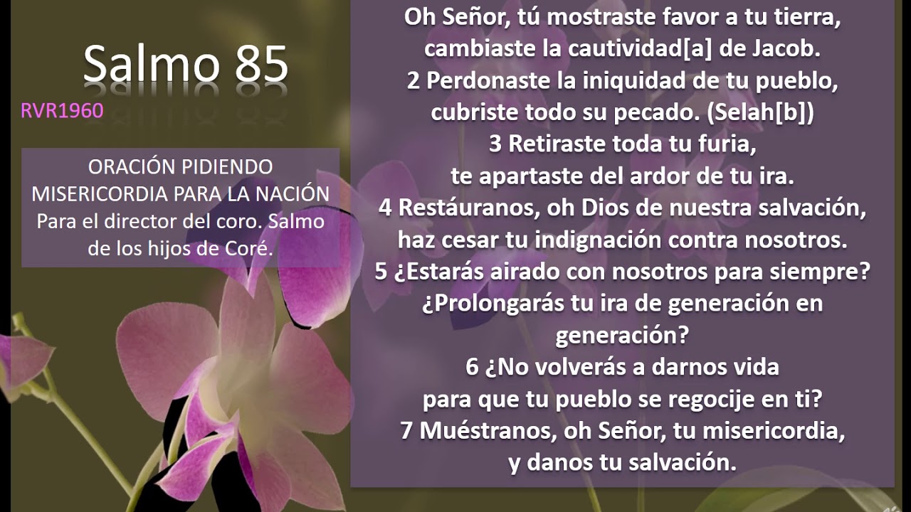 SALMOS 85 BIBLIA - YouTube
