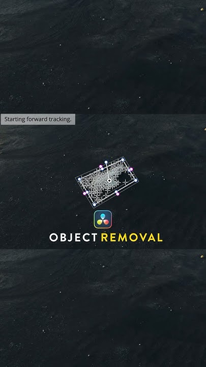 Object removal in DaVinci Resolve 20 - YouTube