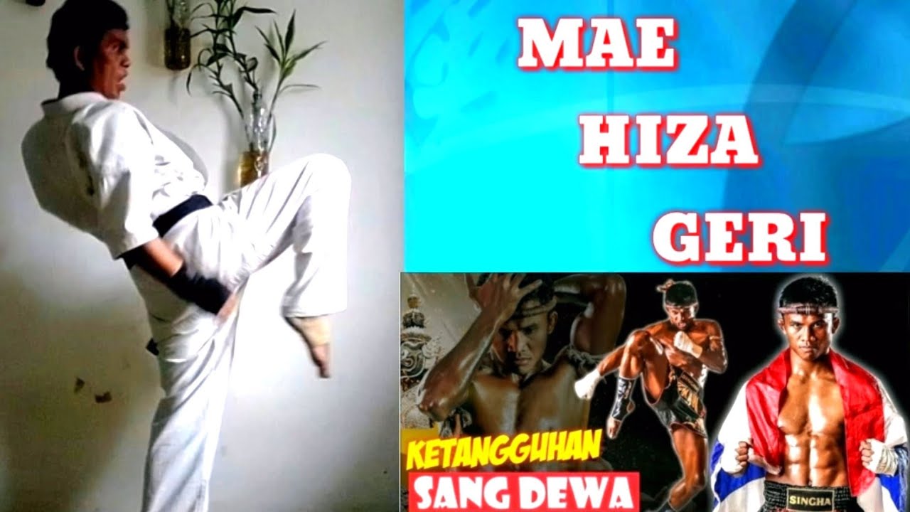 Mae Hiza Geri - Kyokushin Karate - YouTube