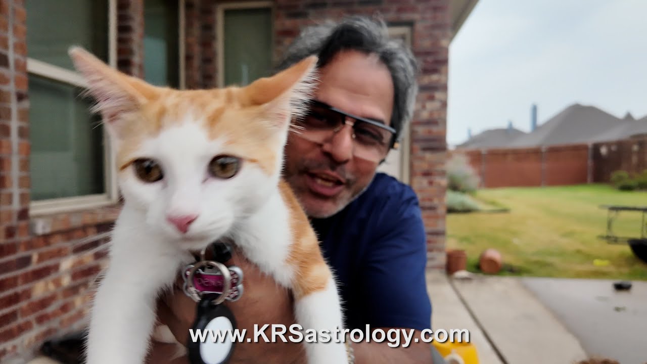 Moon as the Atmakaraka in 8th house of Vedic Astrology - YouTube