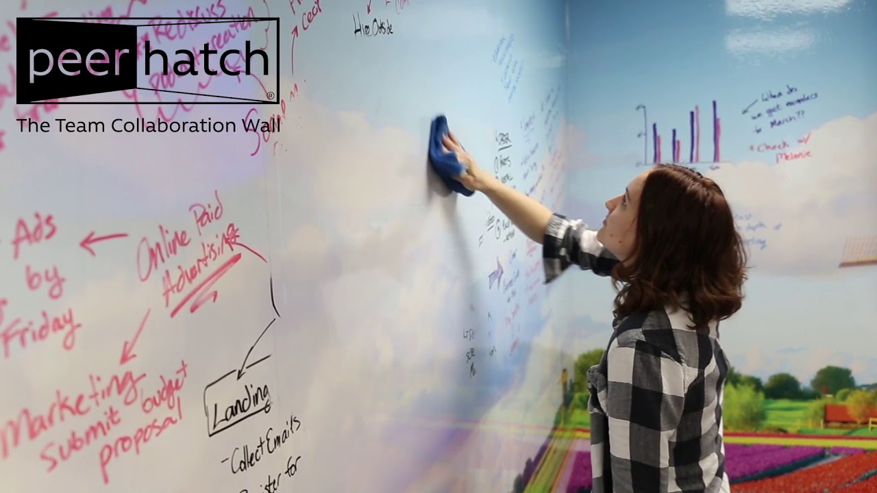 peerhatch in action - write on, wipe off - non-ghosting writable wall covering - YouTube