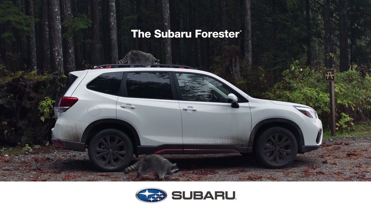 Extra Large Panoramic Moonroof - 0% Financing - Subaru Forester - YouTube