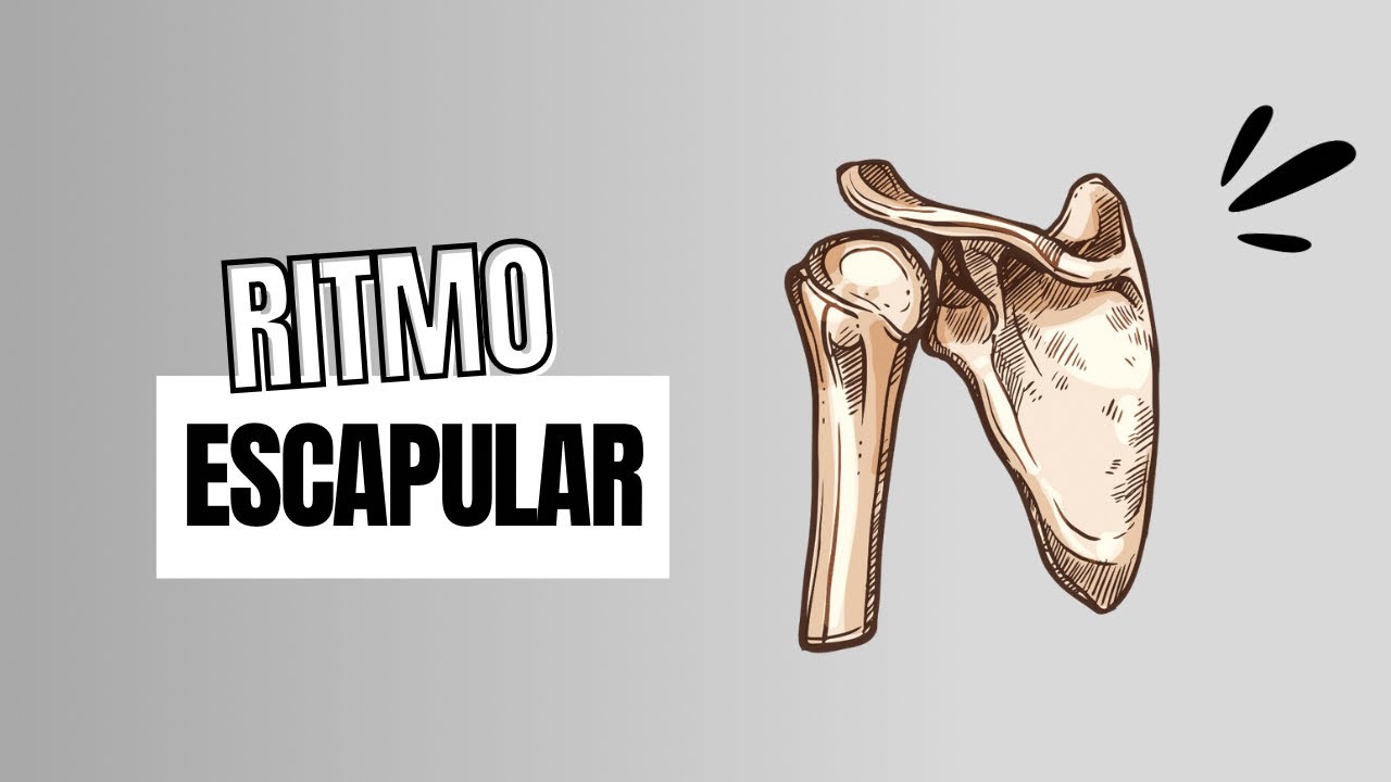 Ritmo escapuloumeral | 2:1 - YouTube