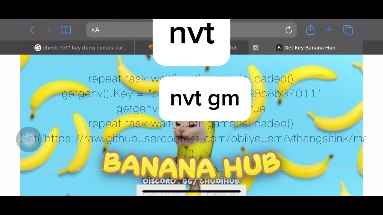 Hack Blox Fruit Update 21 Script Banana Hub Free Key New 2024 - YouTube