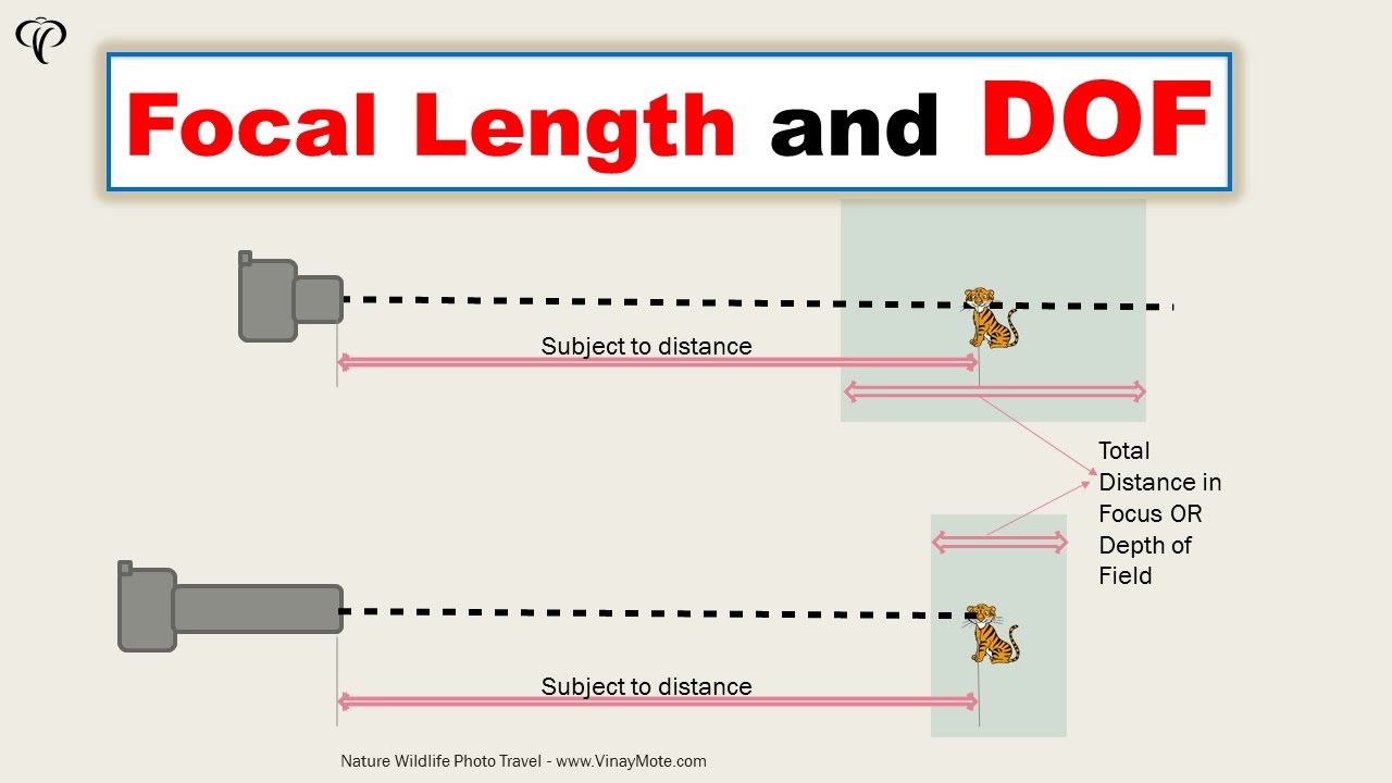 Focal Length And Depth Of Field Digital Slr Photography Basics Youtube