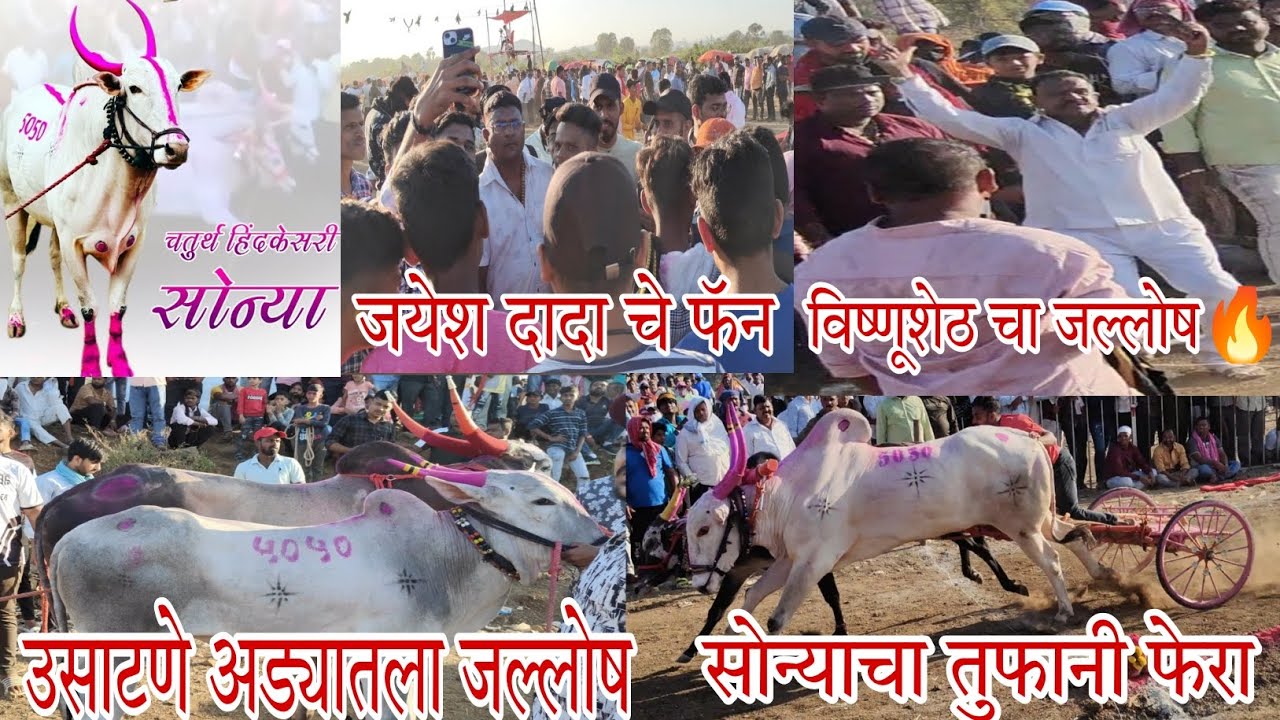 उसाटणे अड्डा फुल्ल जोरात🔥 | मोठा सोन्या5050ला दिला तुफानी फेरा👑 ...