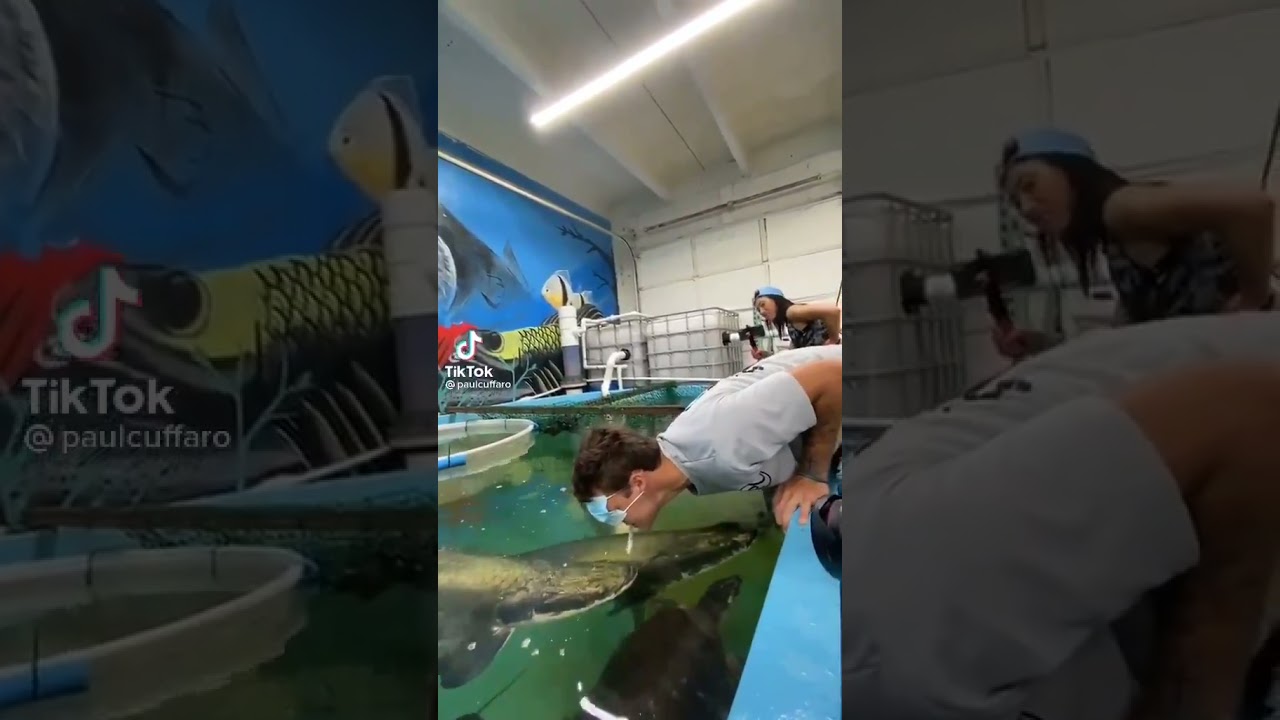 Guy Falls In A Fish Tank Because Of His Own Actions... - YouTube