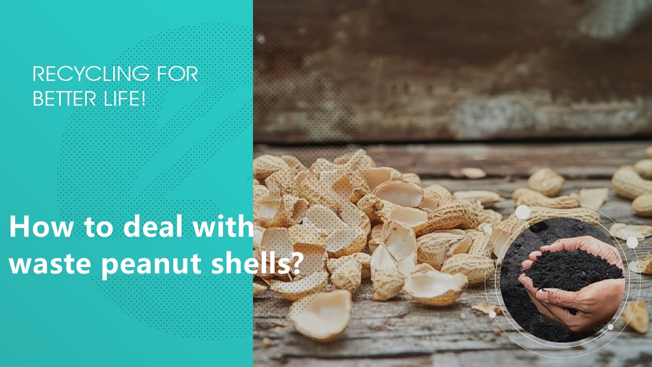How to Deal with Waste Peanut Shells?@BESTON_GROUP - YouTube