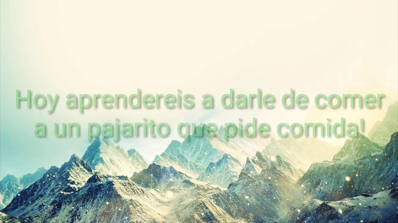 Como dar de comer a un pollito - YouTube