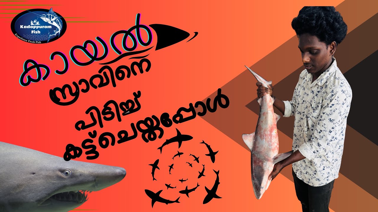 Shark Cutting - YouTube