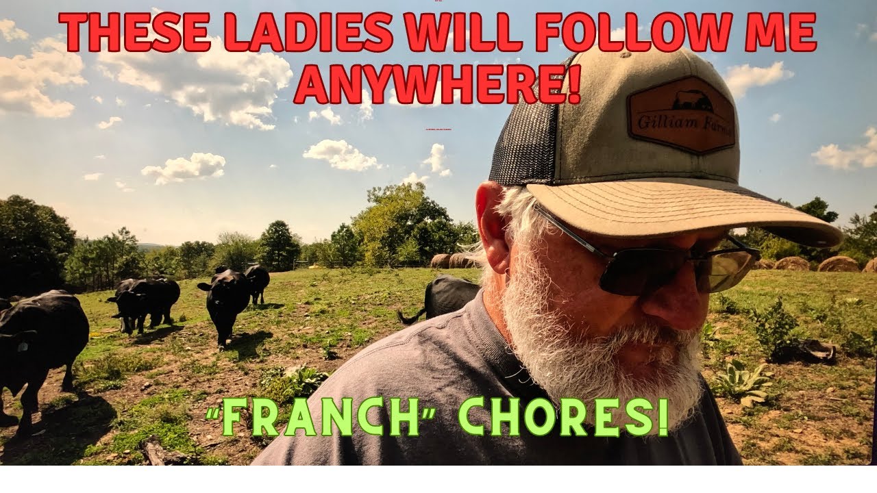 "Franch" Chores! These Ladies will Follow me Anywhere! - YouTube
