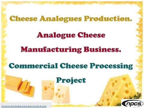 Cheese Analogues Production | Analogue Cheese Manufacturing Business ...