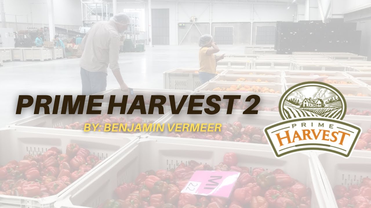 Prime Harvest 2 | Benjamin Vermeer - YouTube
