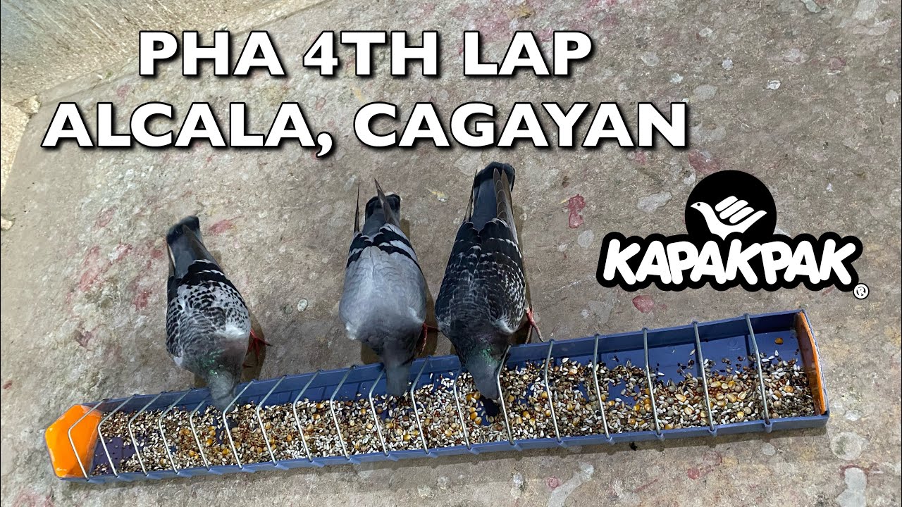 PHA 4TH LAP ALCALA CAGAYAN - YouTube