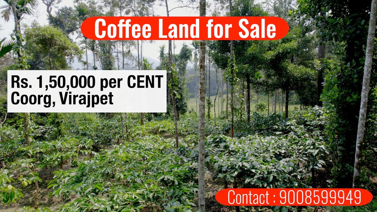 Coffee land FOR SALE NEAR VIRAJPET, COORG - YouTube