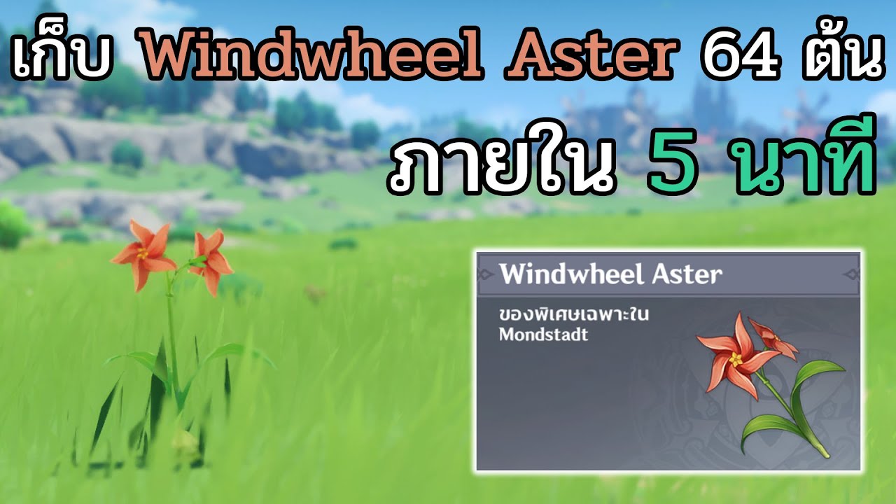 [Genshin impact] เก็บ Windwheel Aster 64 ต้น ภายใน 5 นาที - YouTube