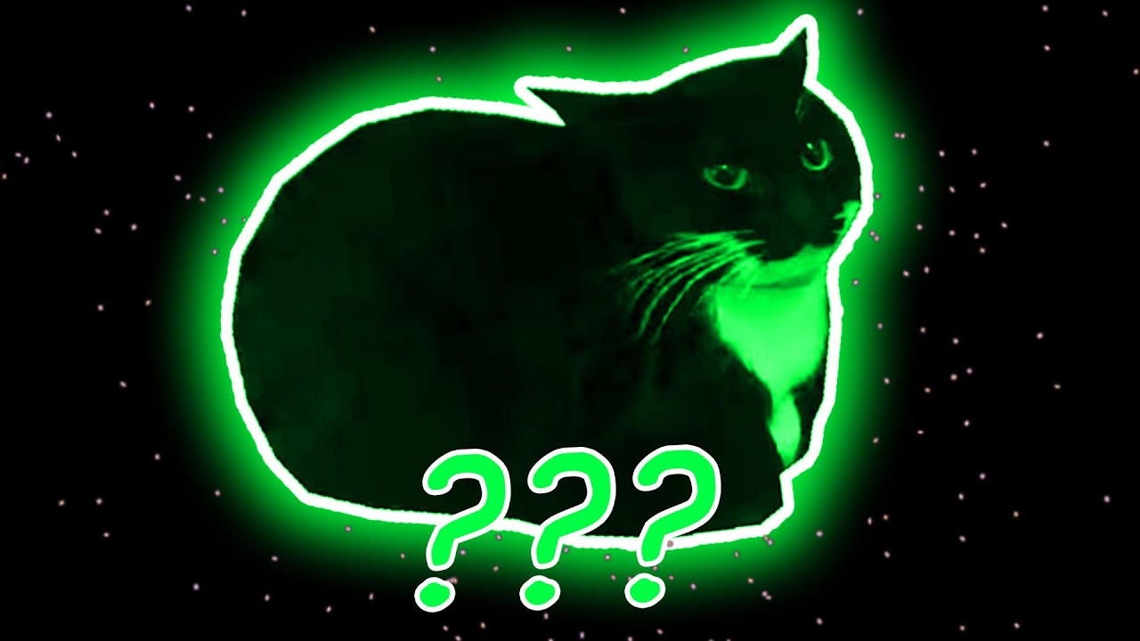 8 Maxwell The Cat Sound Variations in 32 Seconds [Part 2] - YouTube