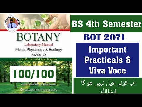 BS 4th Semester | Most Important Botany Practicals and Viva Voce - YouTube