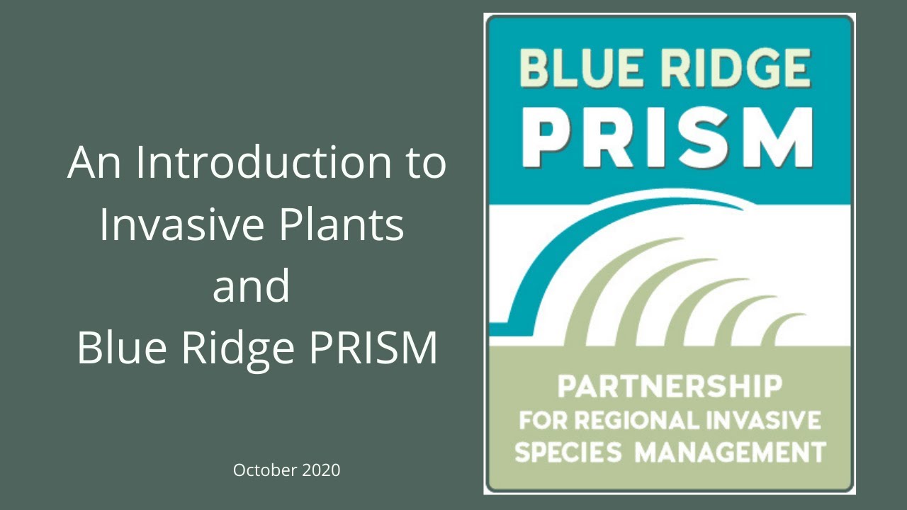 Introduction to Invasive Plants and Blue Ridge PRISM - YouTube