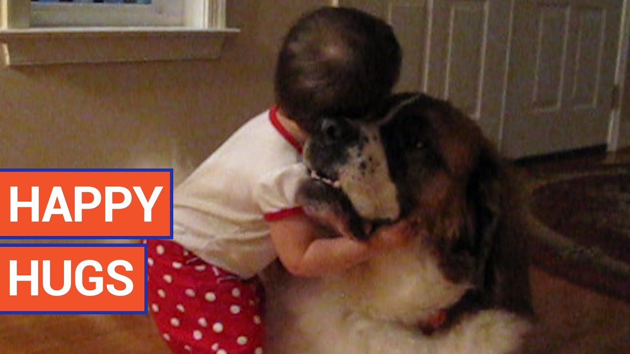 Happy Hugs Video Compilation 2016 - YouTube