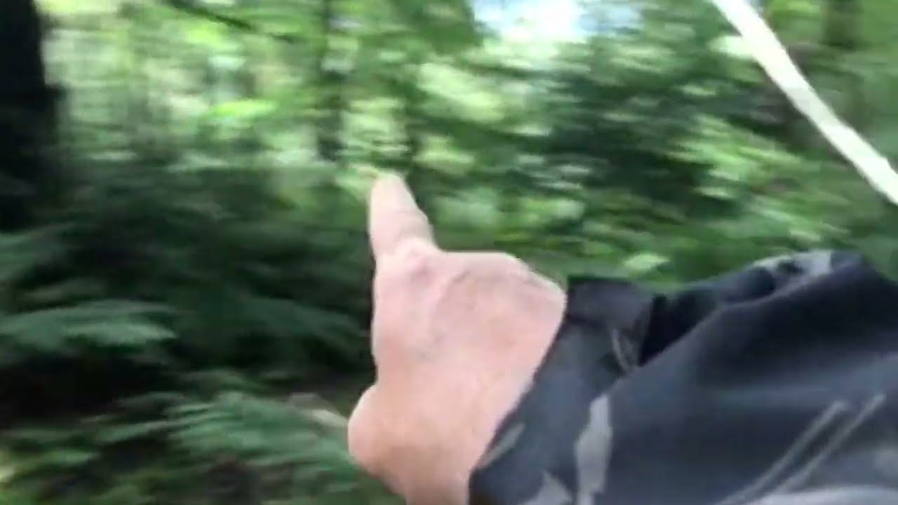 Live walk around billinge woods and witton woods come and say 👋 to are ...