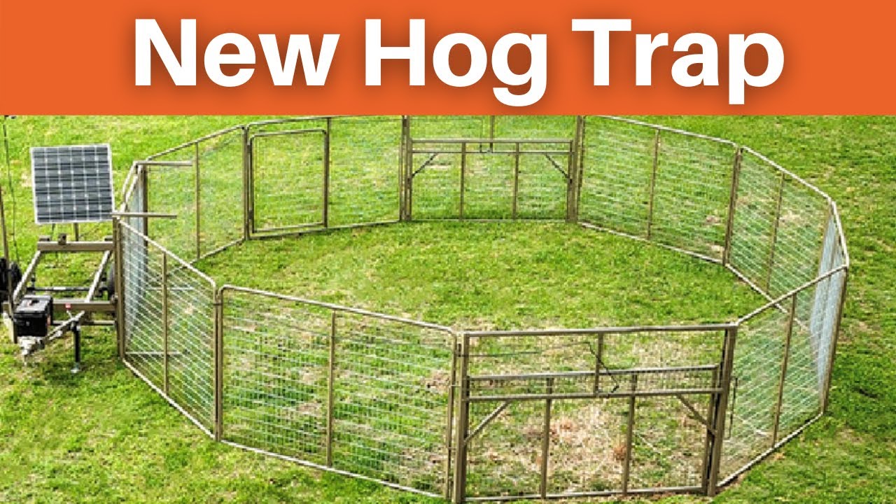 Game Changer Jr / Cellular Hog Trap Setup. Catch Wild Pigs with my cell ...