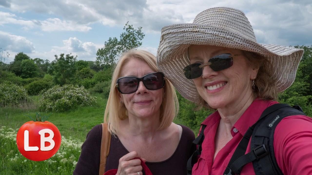 European Gardens | UK | A Walk in Goldhanger | Travelogue - YouTube