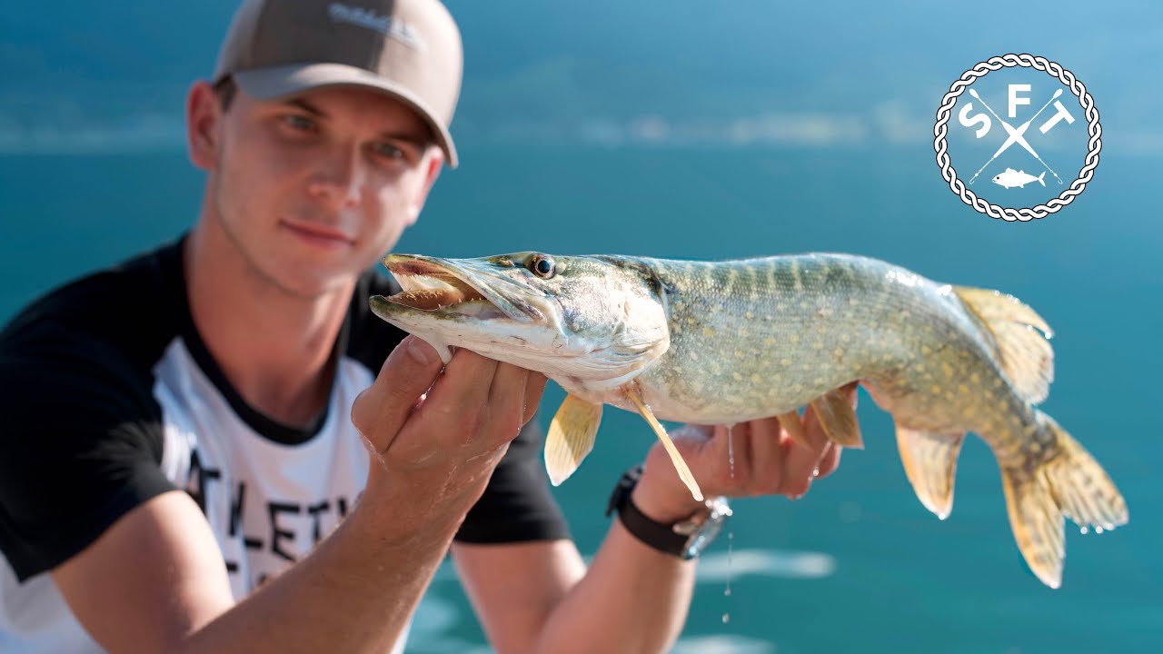 Summer Pike Fishing in Switzerland / Swiss Fishing Team - YouTube