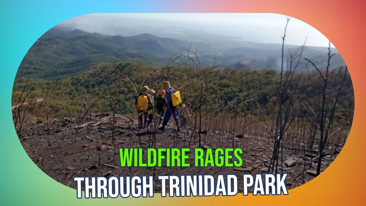 Devastating Cuba Wildfire: 30 Hectares Destroyed | Trinidad Forest Fire ...