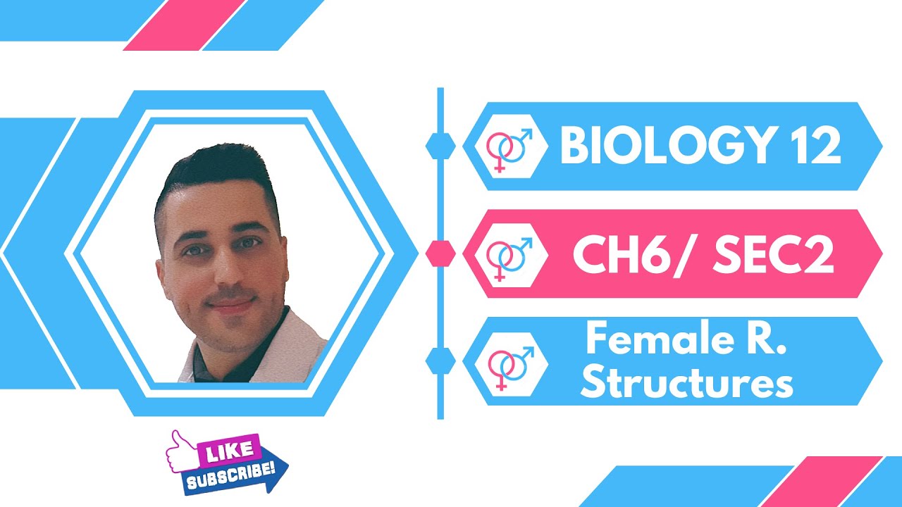 CH6 SEC2 Female reproductive Structures (مێیە کۆئەندامی زاوزێ) - YouTube
