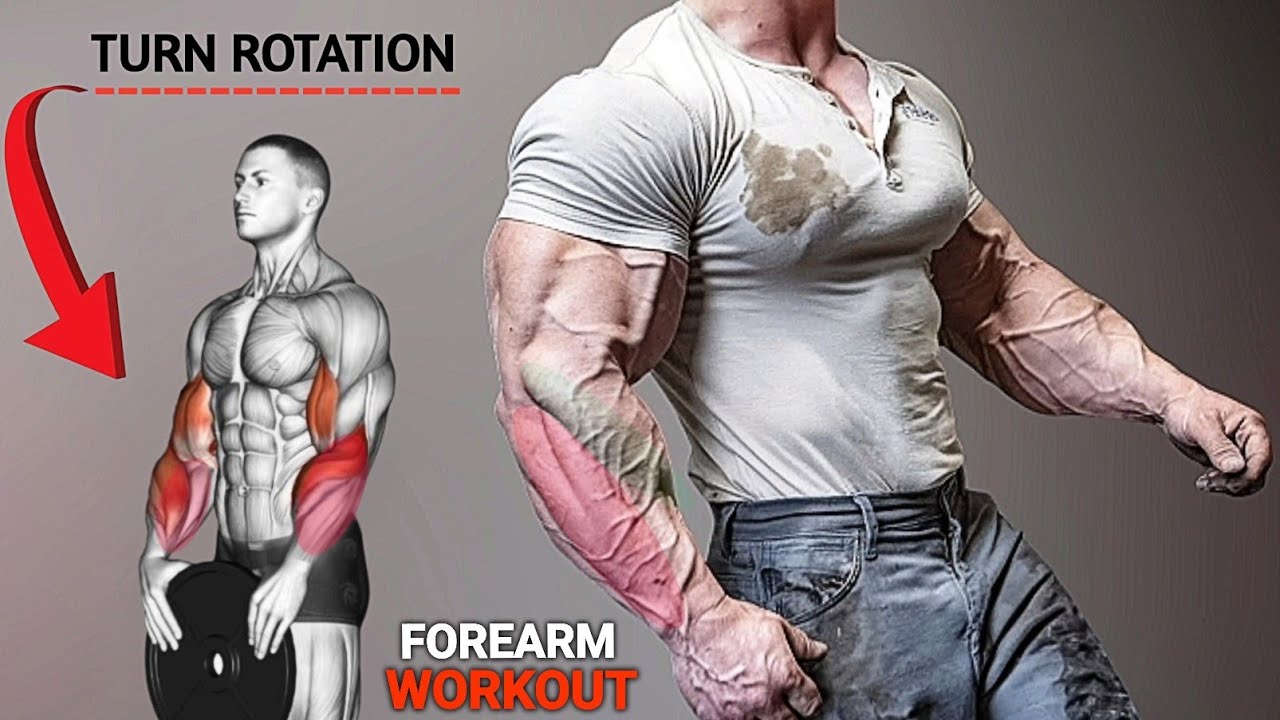 Best 13 Forearm Exercises to Build and Grow Forearm Muscle | Forearm ...