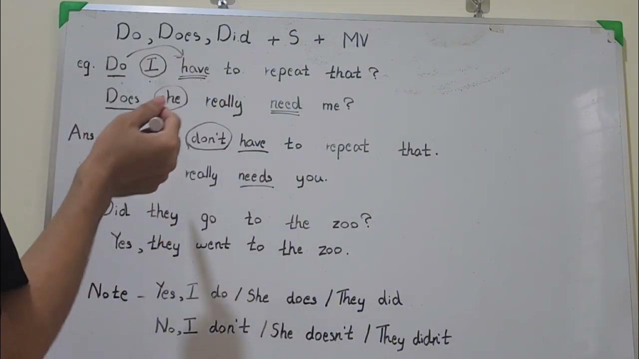 How to use….. DO,DOES,DId - YouTube
