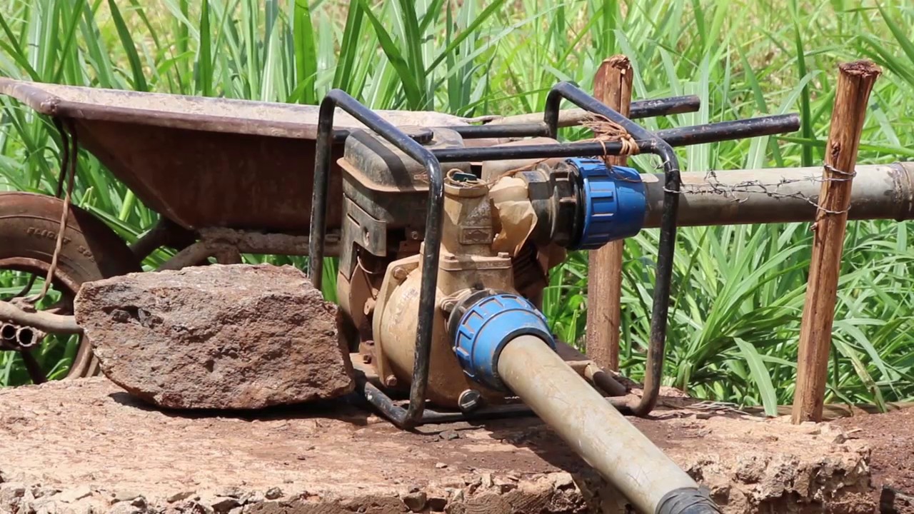 BIASHARA KILIMO FISH FARMING FEATURE - YouTube