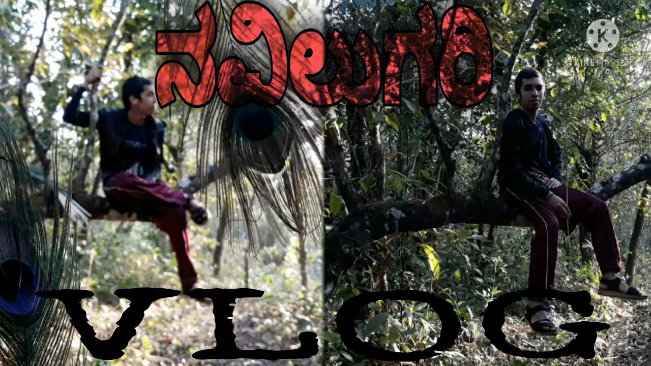 Navilugari Vlog with Jokke Jokke Meke song | Jokke Jokke Meke | #Pushpa ...