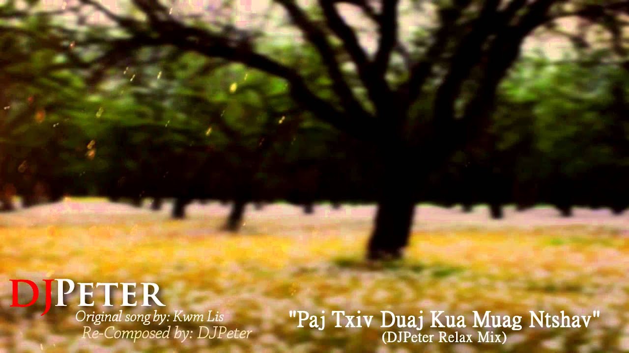 Kwm Lis - Paj Txiv Duaj Kua Muag Ntshav (DJPeter Relax Mix) - YouTube