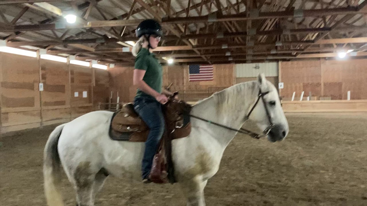 PATH CTRI Certification Video - YouTube