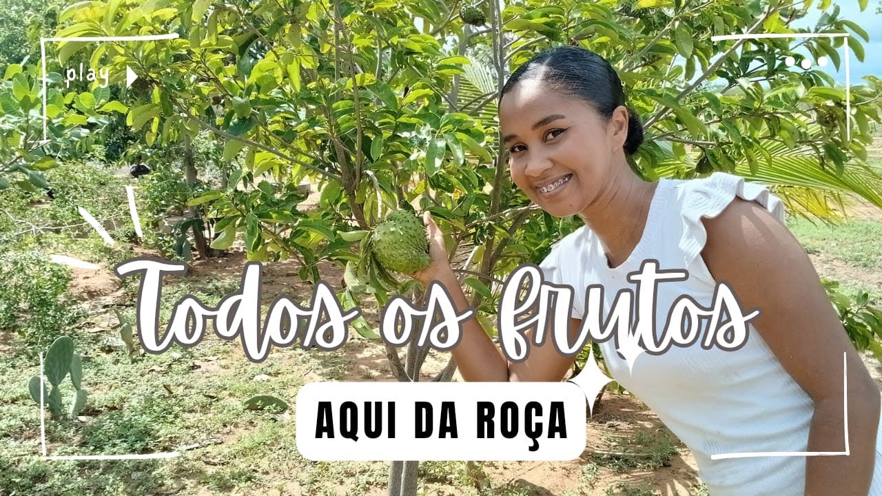 O Pomar do Meu Quintal: Conheça Todas as Minhas Frutas - YouTube