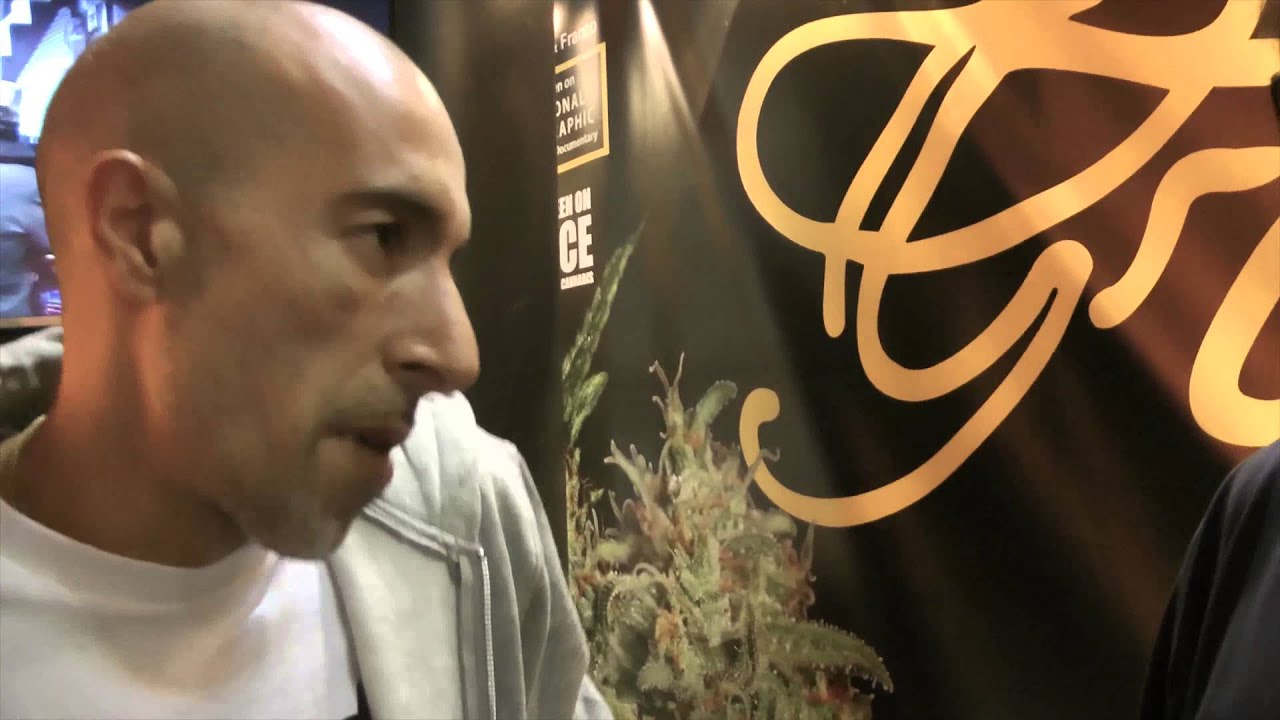 Cannafest 2015 Franco Strain Hunters Green House Seeds - YouTube